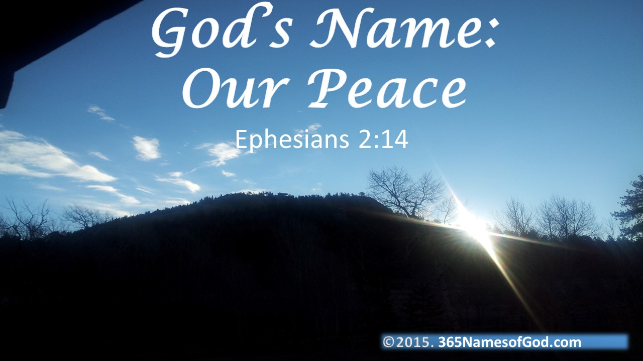 God’s Name: Our Peace | Practical, Biblical Books and Training