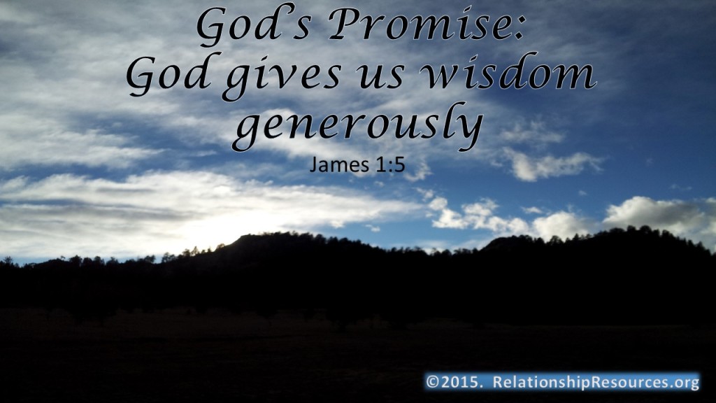Promise: God gives us wisdom generously | Practical, Biblical Books and ...