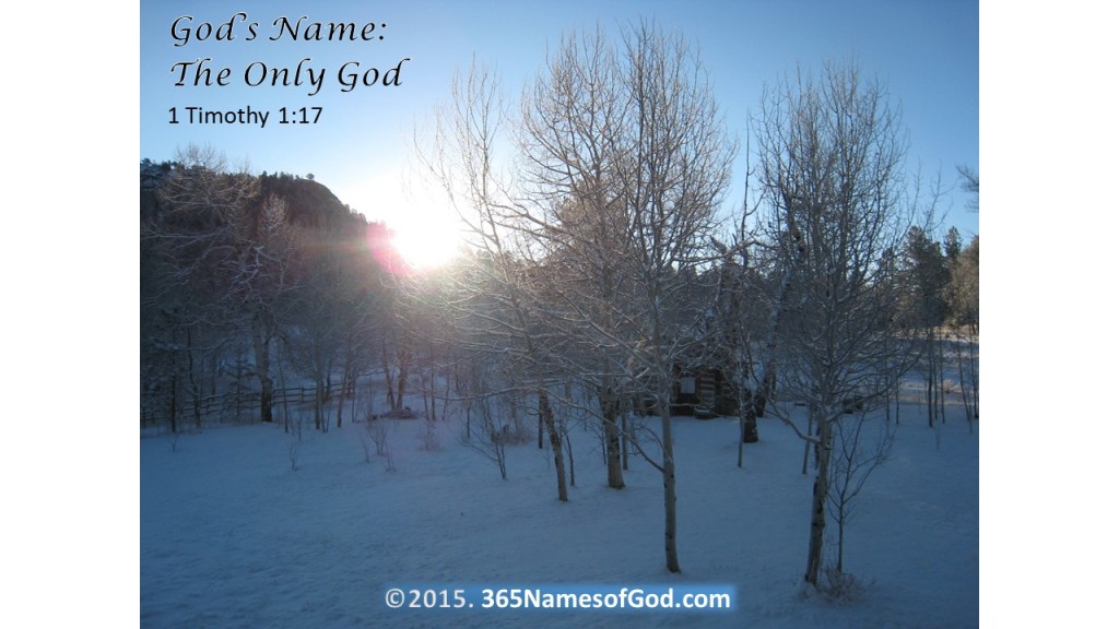 God’s Name: The Only God | Practical, Biblical Books and Training